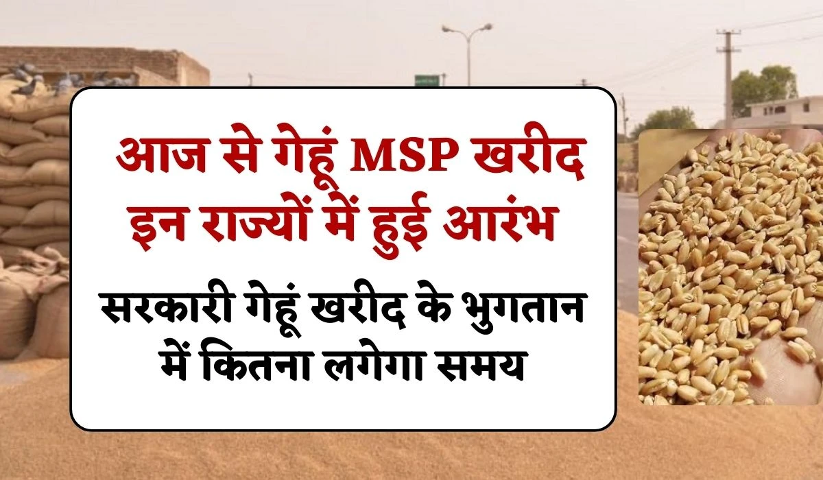 Wheat Msp Purchase Started: 1 अप्रैल से गेहूं MSP खरीद इन राज्यों में ...